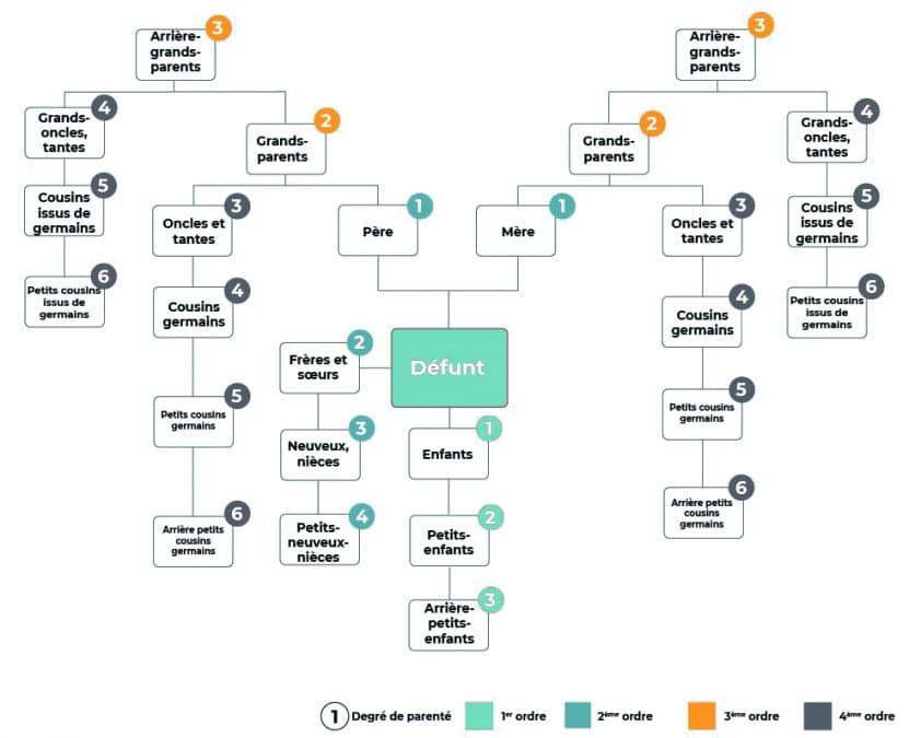 Héritage et dévolution successorale : Qui hérite dans une succession